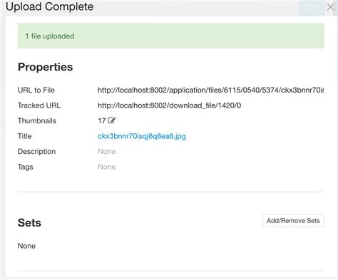 File Manager Drag And Drop Functionality Does Not Replace A File If Replace Is Selected
