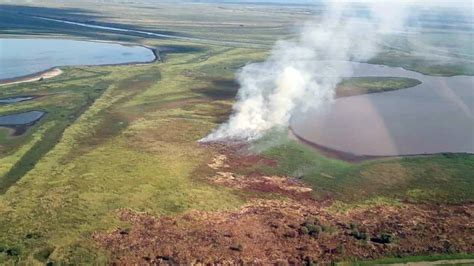 El Paraná No Se Toca Volvió A Denunciar Incendios Intencionales En