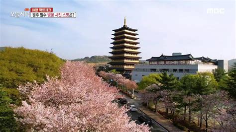 1997회 1 경주로 떠나는 벚꽃 여행 2 1년에 23만 명이 찾는 대박집의 정체는 3 진실 혹은 거짓 밤 농장의