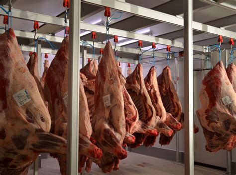 Meat Rail Systems Ai Guidovie