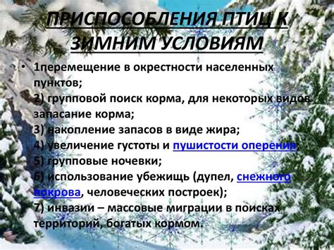 Зимующие птицы нашего Крыма Online Presentation