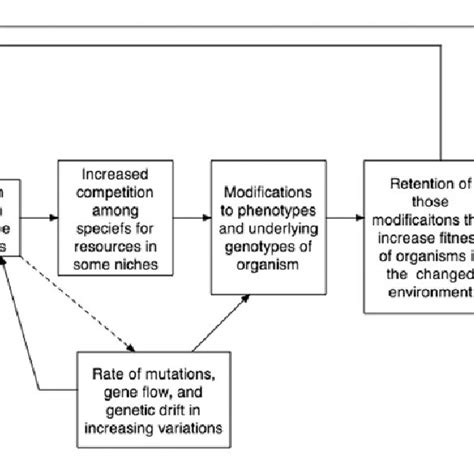 Darwinian Selection As Conceived By The Modern Synthesis Note All