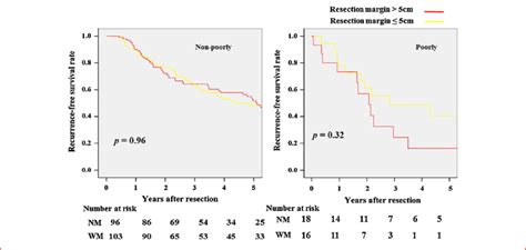 The Influence Of The Resection Margin Width On Recurrence Free Survival