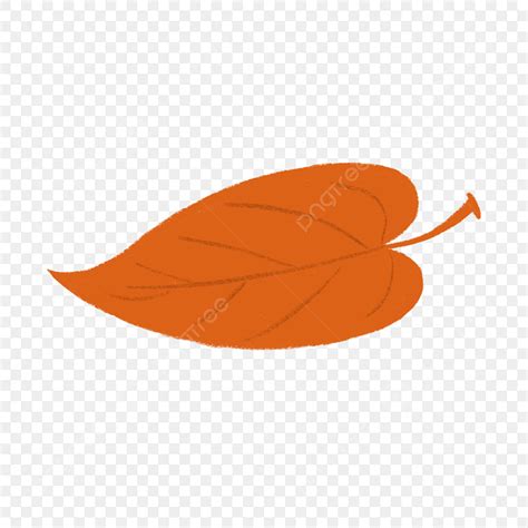 免摳圖樹葉圖案素材 Png和向量圖 透明背景圖片 免費下载 Pngtree
