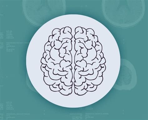 Natural Ways To Enhance Brain Function — Transcend