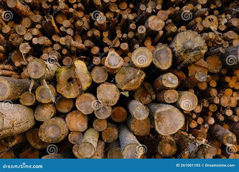 Logs Heating Season Solid Fuel Tree Trunks For Heating Dry Chopped