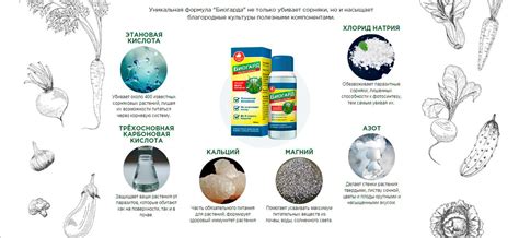 Биогард от сорняков — отзывы реальные цены инструкция по применению