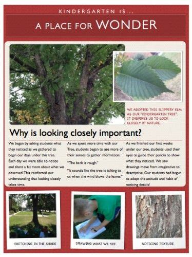 22 Pedagogical Documentation Ideas Classroom Documentation Learning Stories Reggio Classroom