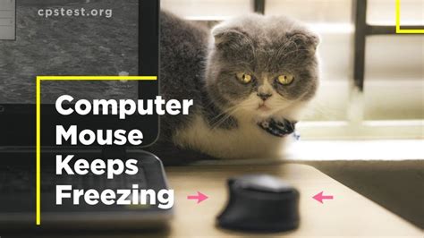 The Guide To Fix Computer Mouse Keeps Freezing