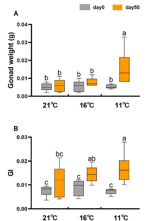 Figure 2 From The Effect Of Temperature On Gonadal Sex Differentiation