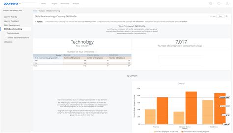 Coursera Data Analytics For Business