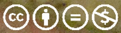 Pl4 Watermarking — Problem With Transparency When Scaling Macos