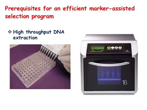 Marker Assisted Selection