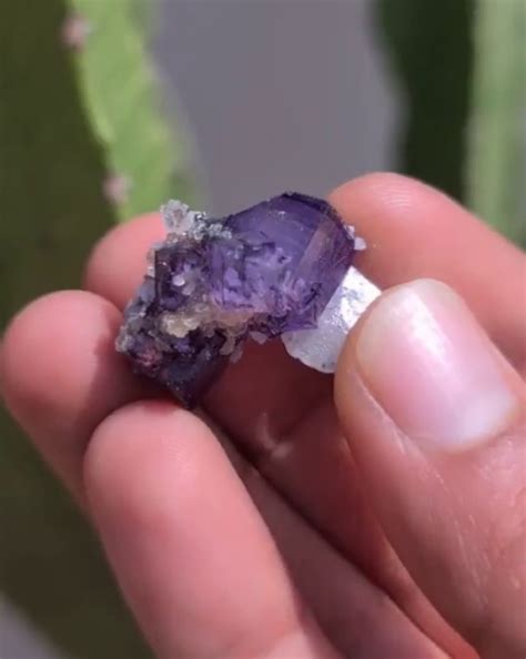 Post [648190307914137600] Messy Mind Tumbex