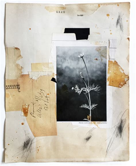 Lee Mckenna Photo