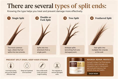 Split Ends Causes Prevention And Repair — Complete Guide Karseell