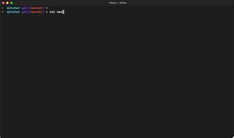Witcher Managing GitHub Advanced Security GHAS Controls At Scale RedPacket Security