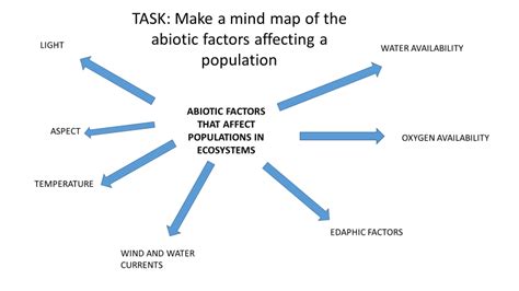 Abiotic Factors Mind Map Task — Gateways School