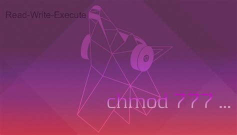 Le Autorizzazioni Ed I Permessi Dei File Linux Read Write Execute