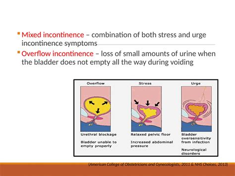 Urinary Incontinence And Its Treatment Pptx