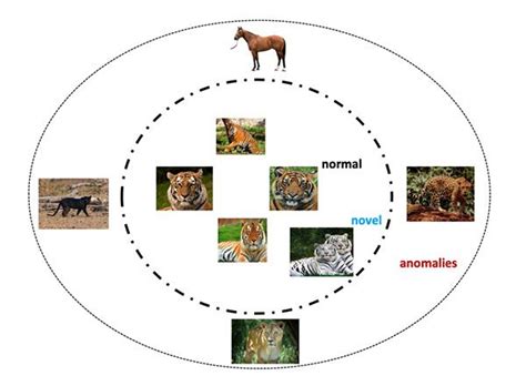 Anomaly Detection With Keras Tensorflow And Deep Learning Pyimagesearch