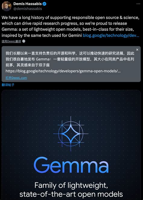 Gemma Llama Ai