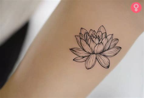 8 Amazing Water Lily Tattoo Ideas In Unique Styles