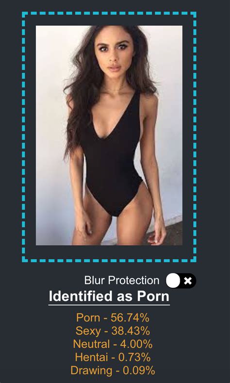 Bias In Model Issue Infinitered Nsfwjs GitHub