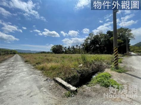 花蓮壽豐豐山雙面臨路方正好規劃農地 花蓮縣壽豐鄉 土地 農林出售 永義房屋 好房網買屋