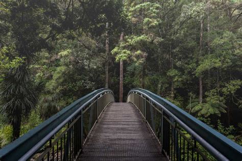 What Is Hasbunallahu Wa Nimal Wakeel Dua Meaning