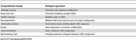 Biological Equivalents For Computational Concepts In The Cc Model
