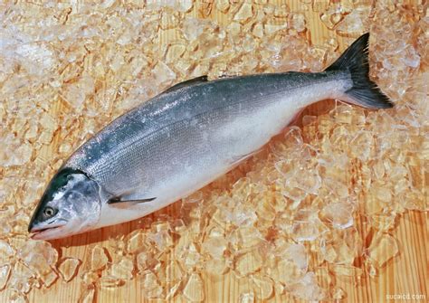 Fisch LME Lebensmittel Markt Ernährung