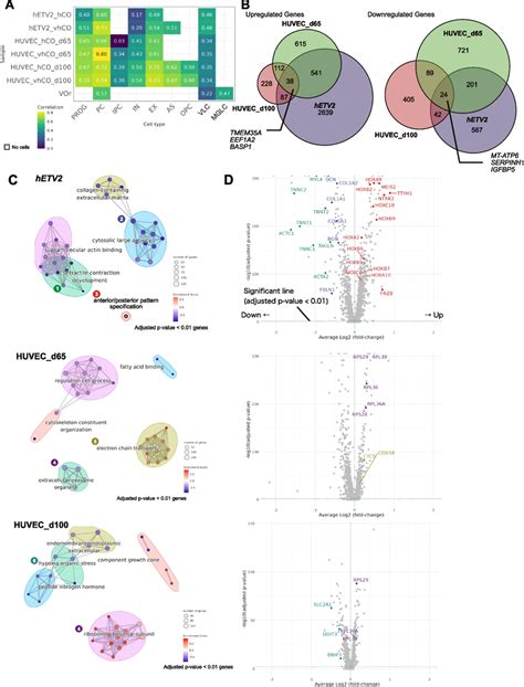 Transcriptomic Fidelities In The Fetal Brain And Bulk Alteration