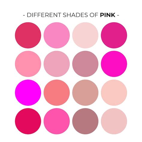 Premium Vector Vector Color Palette Set Design Template Multi Color