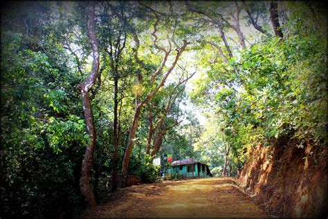 Dandeli Ulavi Akala Gavi Trekking My Camera Log