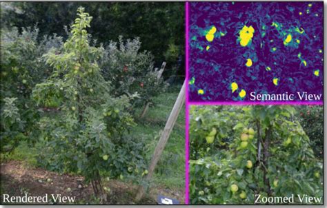 논문 리뷰 Fruitnerf A Unified Neural Radiance Field Based Fruit Counting Framework