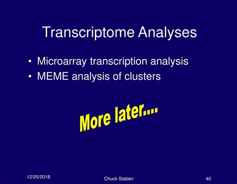 Gene Structure And Identification Ppt Download