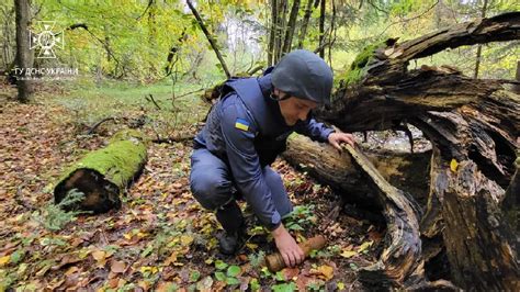 На Прикарпатті знайшли дві міни та артилерійський снаряд Інформатор Івано Франківськ
