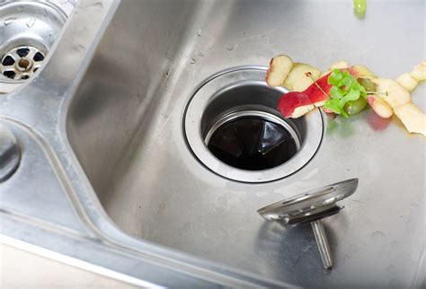 Why Im Afraid Of Garbage Disposals By Sherry Mayle West Hill Story