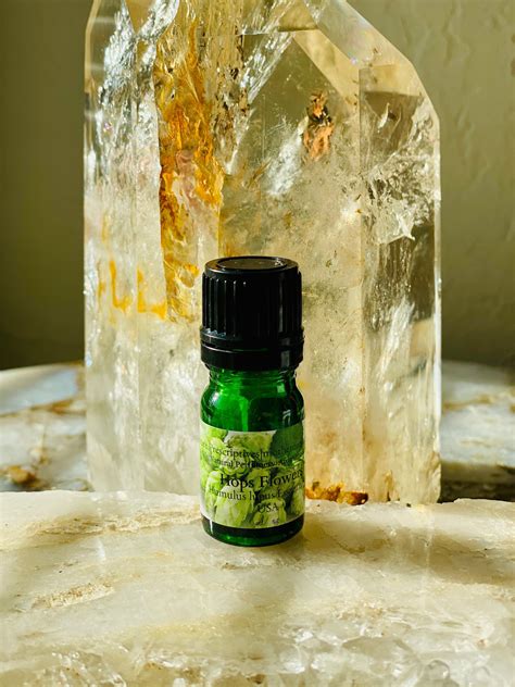 Hop Flowers Essential Oil Essential Oil Apothecary