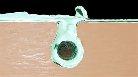 피부 층 물 청소 클렌징 폼 크림 피부 층 또는 로션 또는 우유 또는 피부 먼지 제거제정화물의 3d 그림 깊은 클렌징 피부 여드름과 여드름 제거 3d 렌더 블랙헤드에 대한