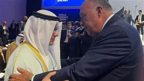 سامح شكري يلتقي وزيري خارجية قطر والكويت على هامش المشاركة في المنتدى