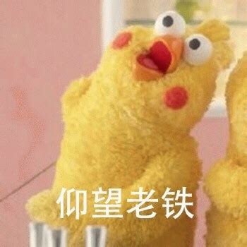 仰望老铁表情包图片gif动图 求表情网 斗图从此不求人