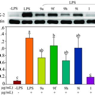 TLR mediated NF κB signaling pathway Download Scientific Diagram