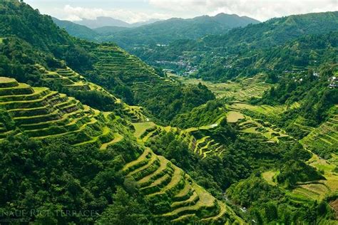 Banaue And Batad Unesco 3days 2 Nights Tour Private Group Tour Max 6