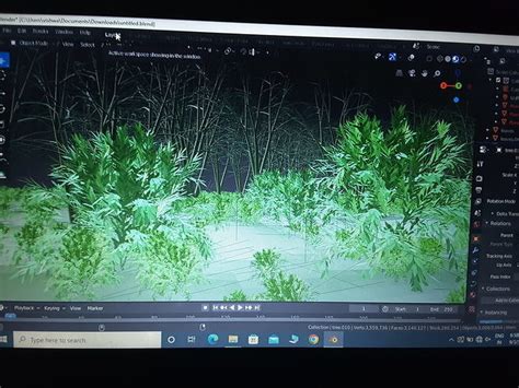 3d Model Forest Modal Vr Ar Low Poly Cgtrader