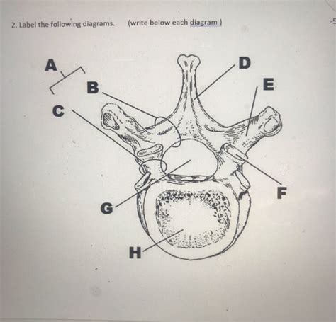 Solved Label The Following Diagrams Write Below Each Chegg