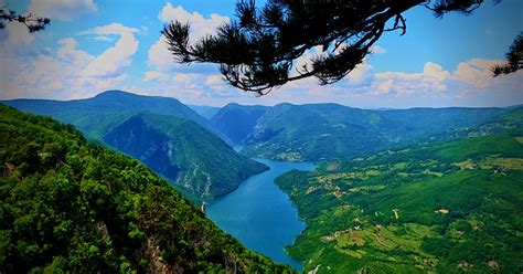 What To Do And See In Tara National Park Serbia Transfers