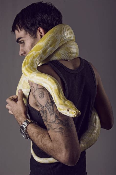 Snake Albino Burmese Python Anfibi Rettili