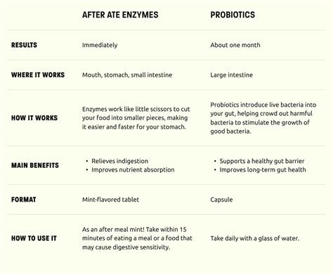 Digestive Enzymes Chart